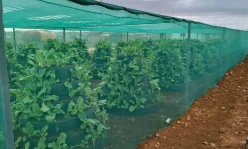 The Best Multi-Storey Gardens In Kenya - Knight & Hammer Contractors