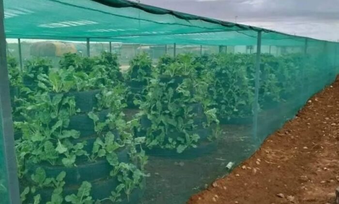 The Best Multi-Storey Gardens In Kenya - Knight & Hammer Contractors