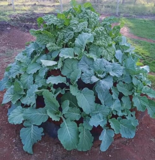 The Best Multi-Storey Gardens In Kenya - Knight & Hammer Contractors