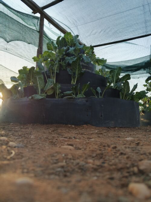 The Best Multi-Storey Gardens In Kenya - Knight & Hammer Contractors