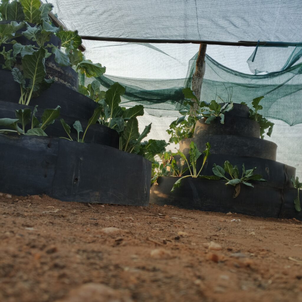The Best Multi-Storey Gardens In Kenya - Knight & Hammer Contractors