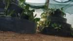 The Best Multi-Storey Gardens In Kenya - Knight & Hammer Contractors