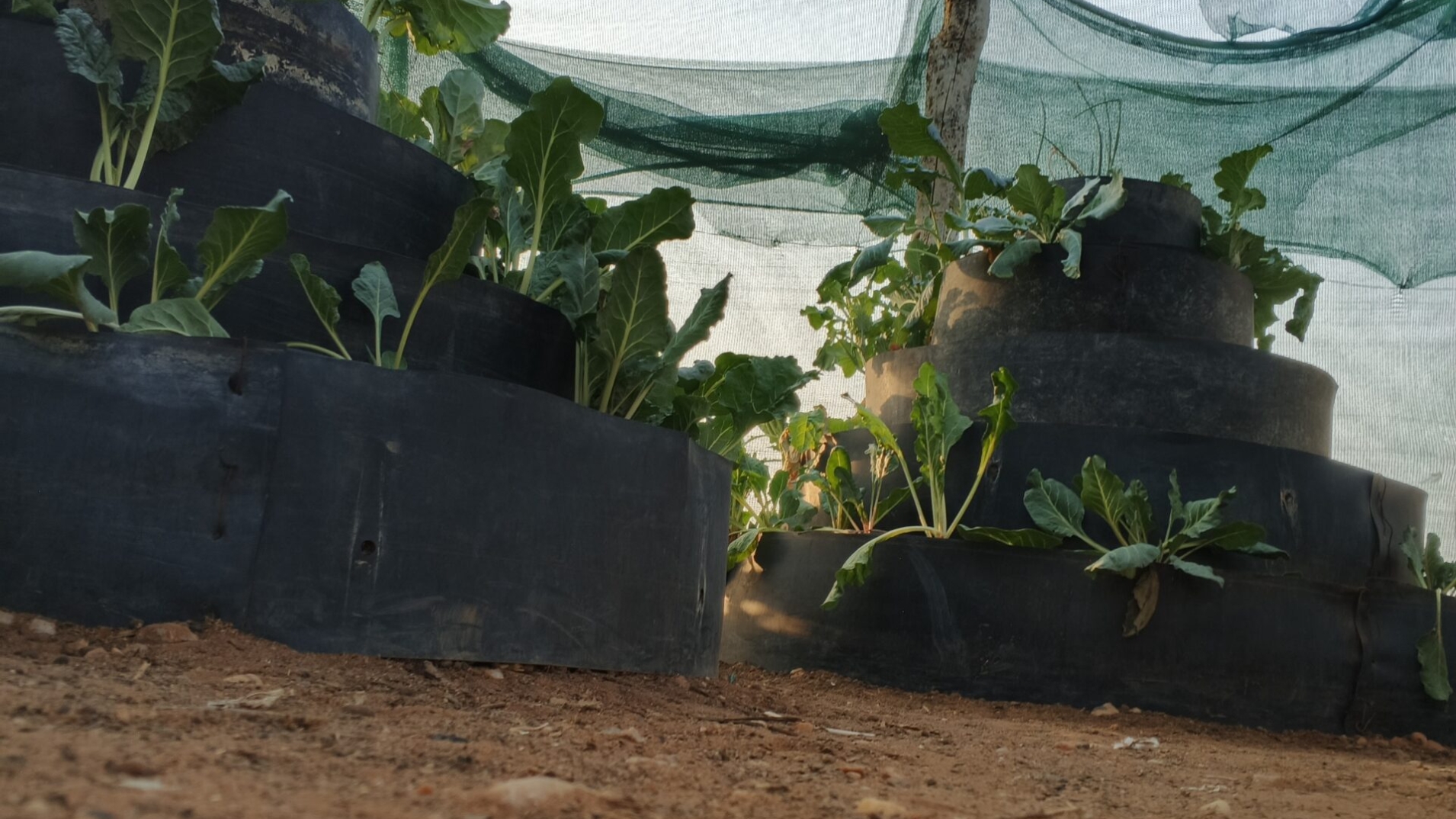 The Best Multi-Storey Gardens In Kenya - Knight & Hammer Contractors