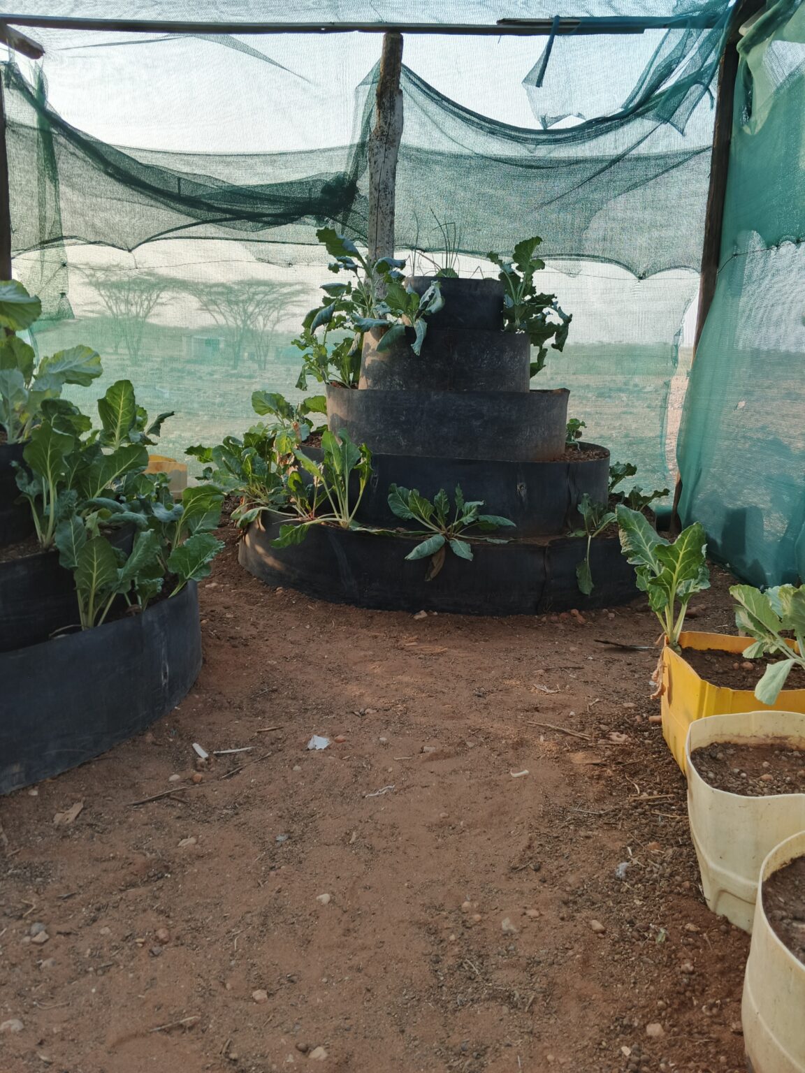 The Best Multi-Storey Gardens In Kenya - Knight & Hammer Contractors