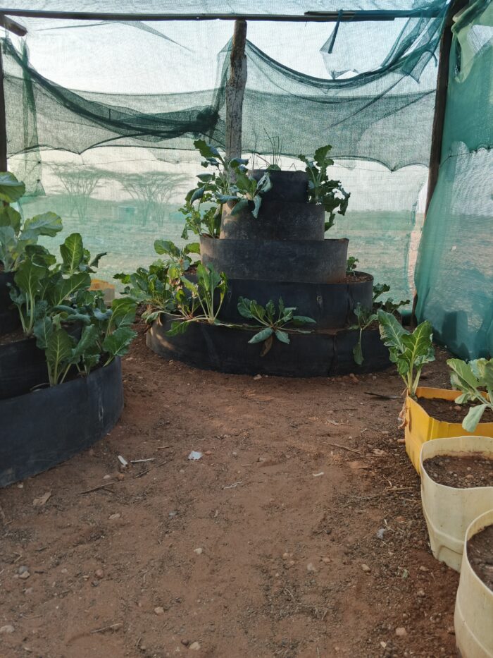 The Best Multi-Storey Gardens In Kenya - Knight & Hammer Contractors