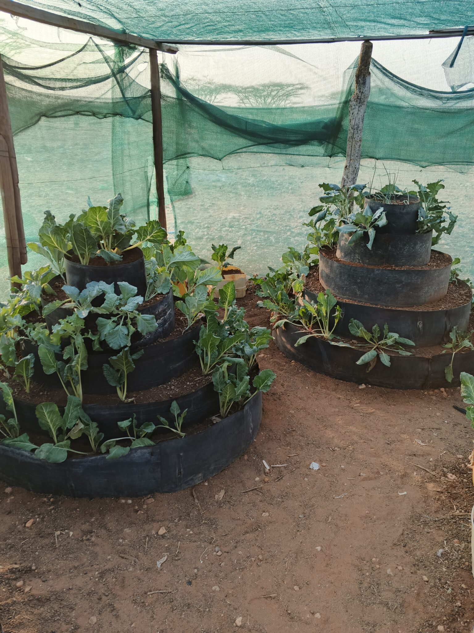 The Best Multi-Storey Gardens In Kenya - Knight & Hammer Contractors